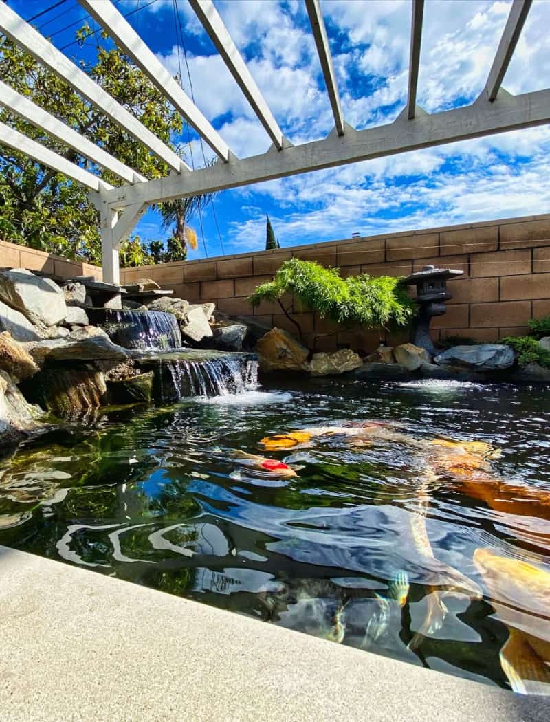 Lake And Pond Construction