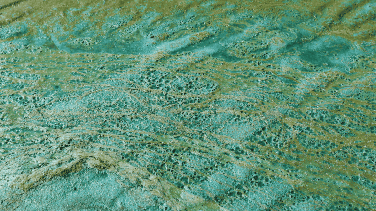 Guide To Algae Colors | Understanding Types And Algae Impact